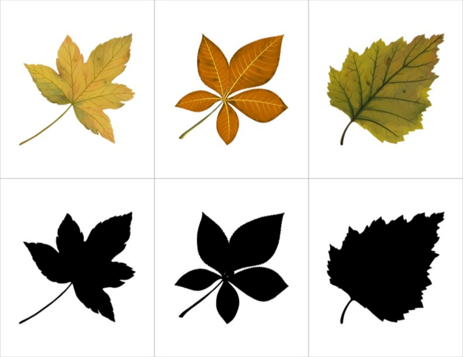 Leaf Silhouette Matching Cards - Etsy