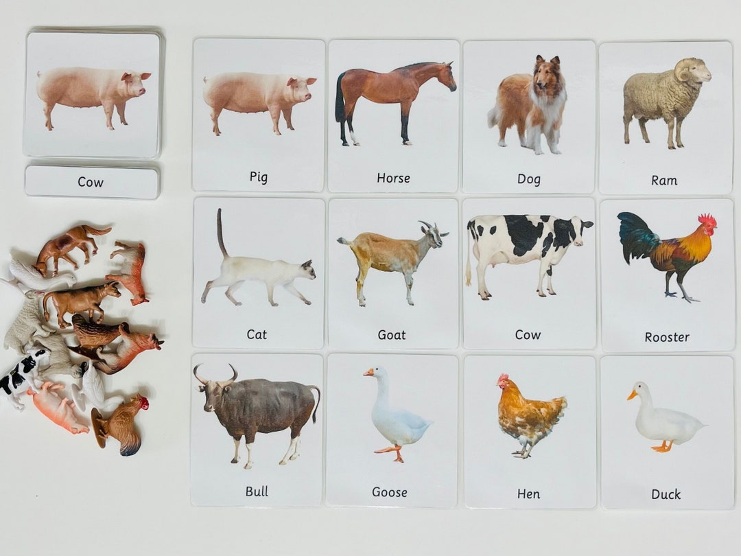 Montessori Farm 3 Part Cards & Matching Objects - Etsy