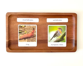 ToadstoolMontessori - Etsy