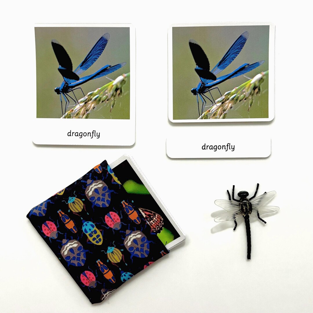 Montessori Types of Insects 3 Part Cards - Etsy