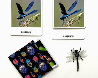 Montessori 3 Part Cards Beneficial Insects/ Bug Unit/ Garden Unit - Etsy