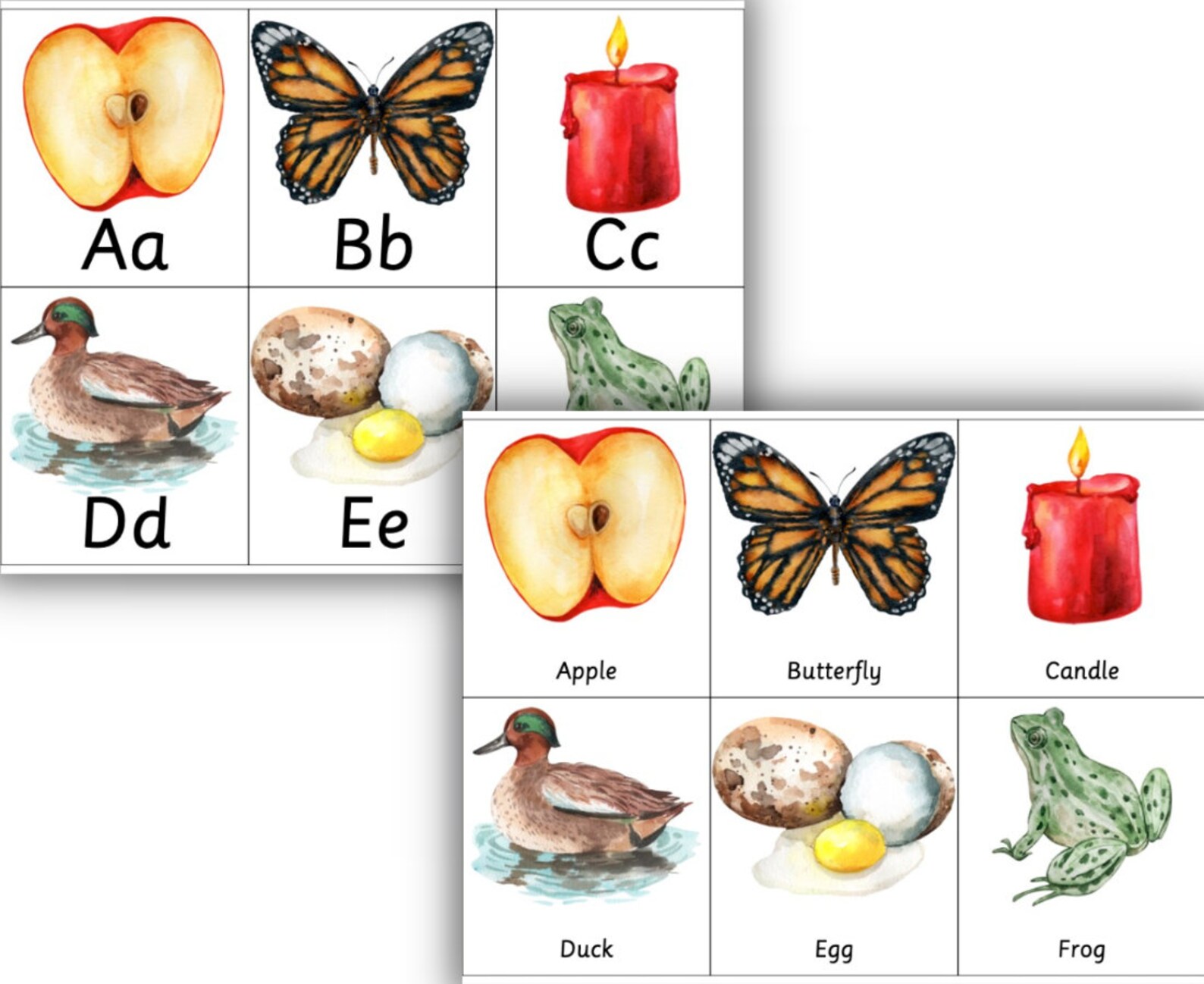 Watercolor Alphabet & Number Cards - Etsy