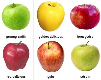 Types of Apples 3 Part Cards for Fall - Real World Pictures ...