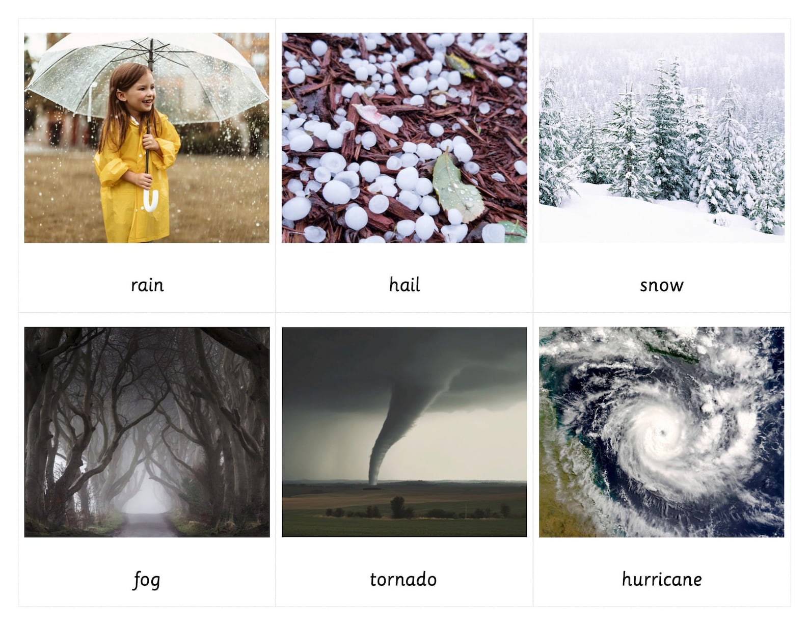Types of Weather Montessori 3 Part Cards - Etsy