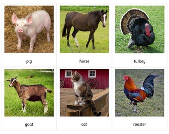 32 Farm Animals Flashcards | Montessori 3-part Cards | Real Pictures ...