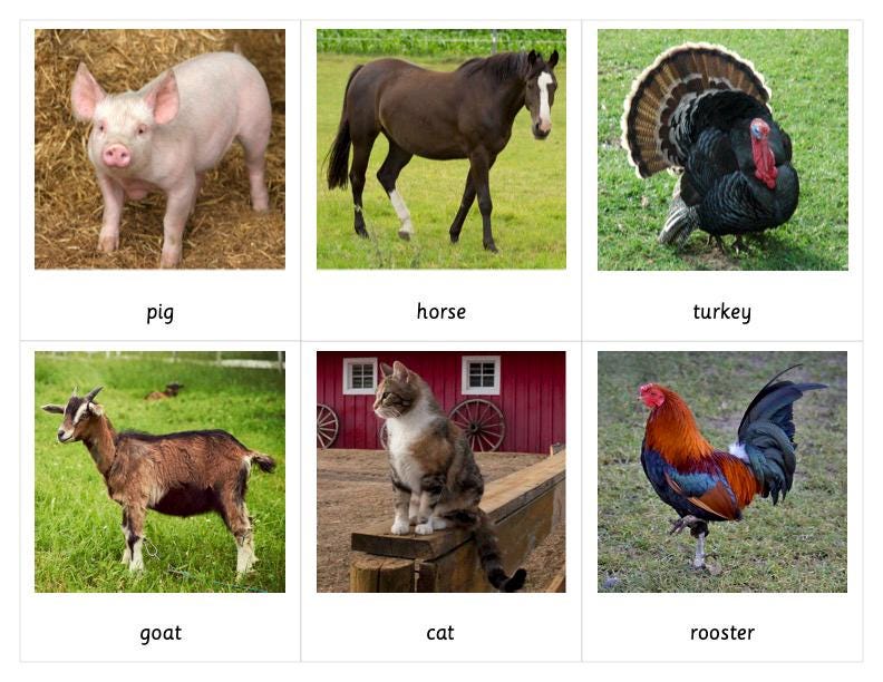 Farm Animal Montessori 3 Part Cards - Etsy