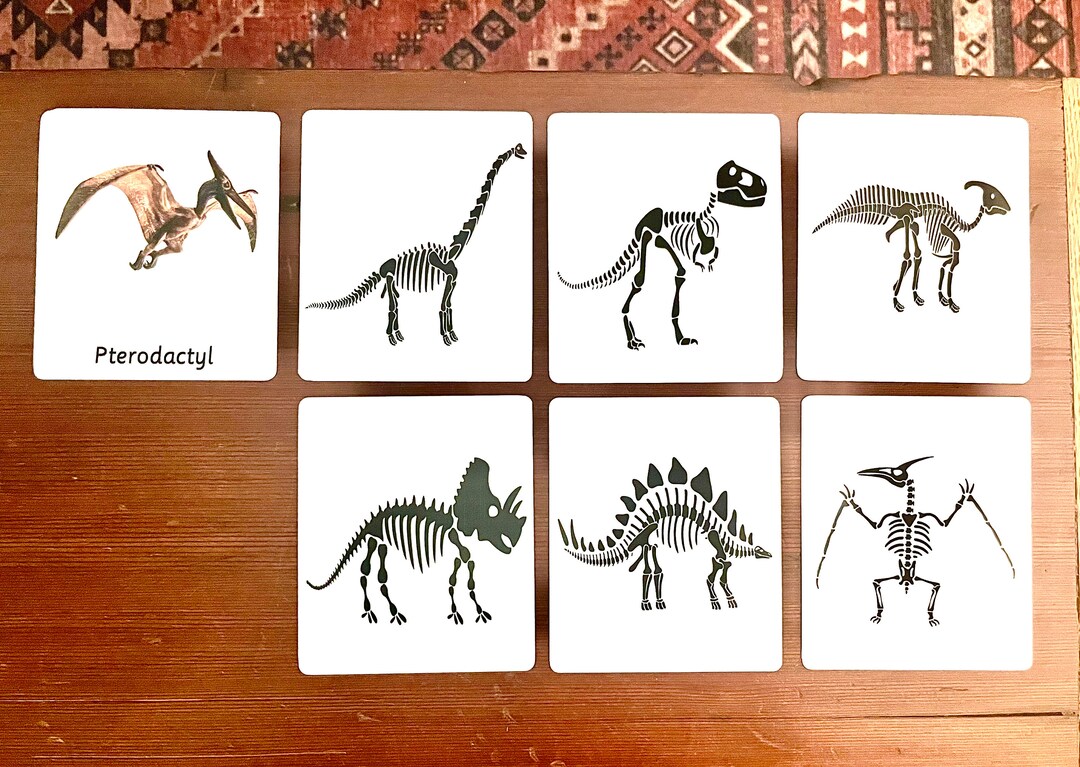 Dinosaur Skeleton Identification Cards - Etsy