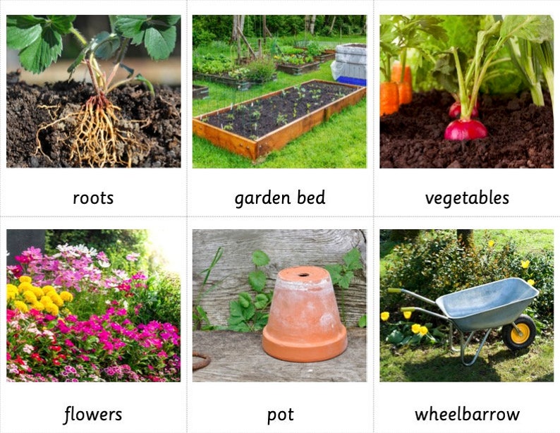 Garden - Montessori 3 Part Cards - Etsy