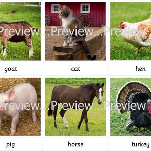 Montessori 3 Part Cards - Farm Animals - Etsy