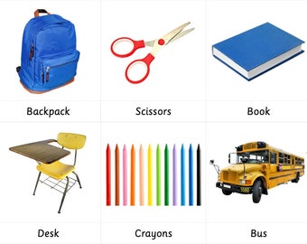 Marc Chagall Montessori Three Part Cards and Artist Bio - Etsy