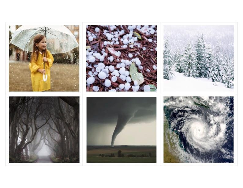 Types of Weather Montessori 3 Part Cards - Etsy