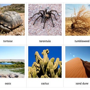 Desert Habitat Montessori 3 Part Cards - Etsy