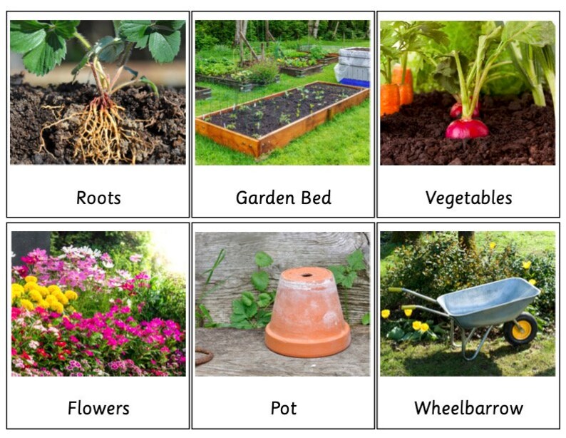 Montessori 3 Part Cards Garden - Etsy