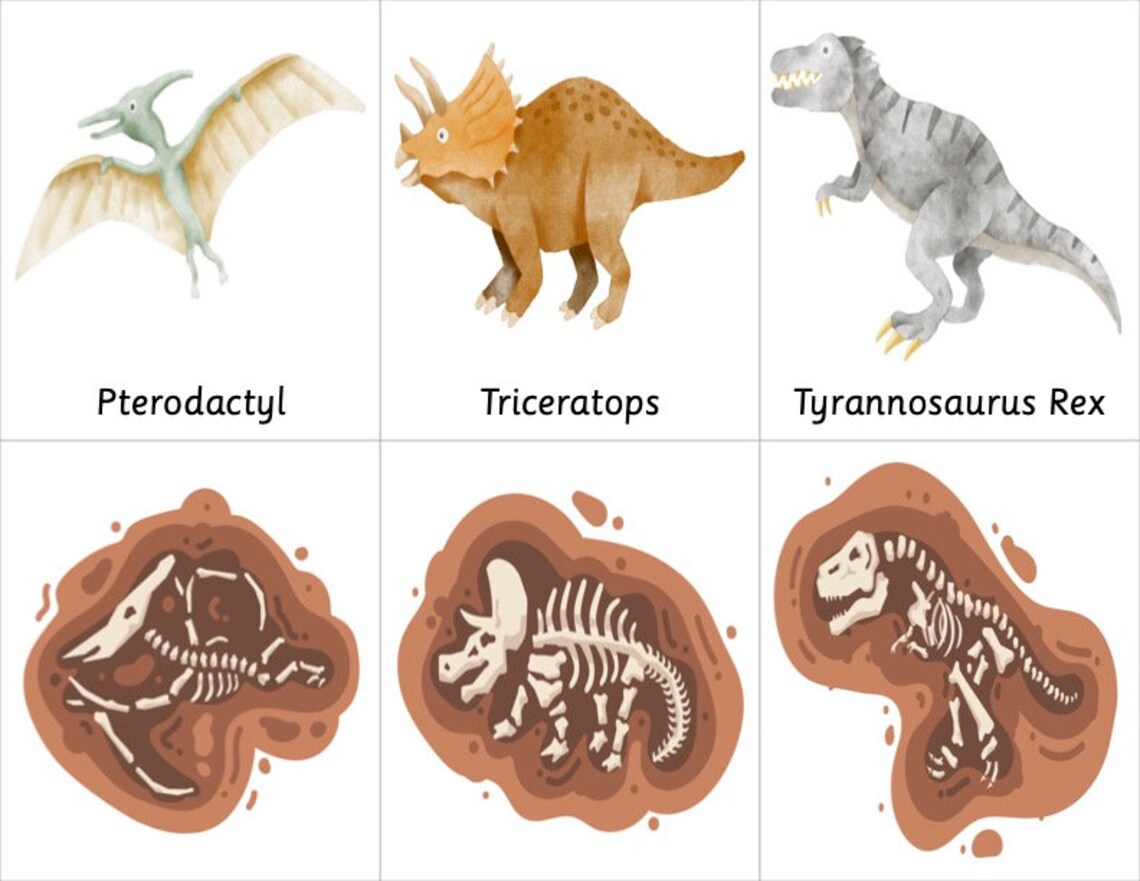 Dinosaur Fossil Identification Cards - Etsy