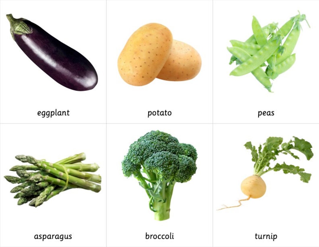 Montessori 3 Part Cards Vegetables - Etsy