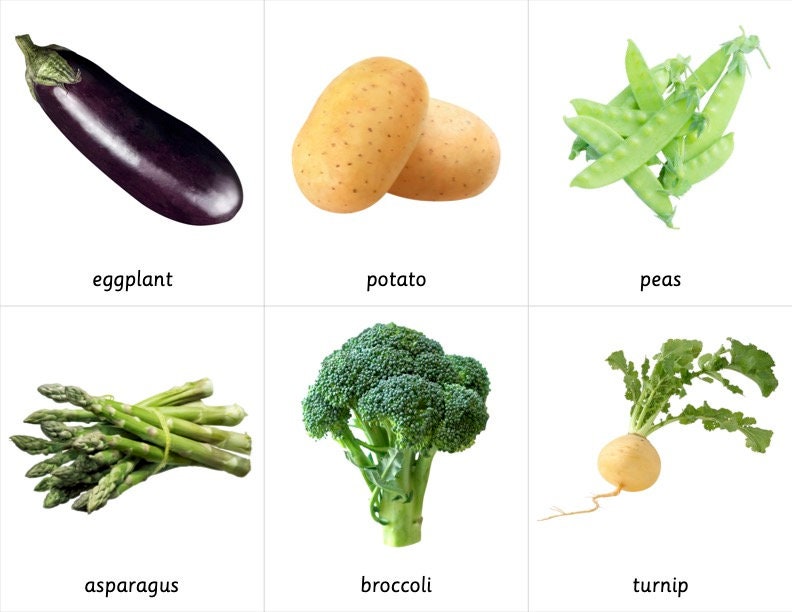 Montessori 3 Part Cards Vegetables - Etsy
