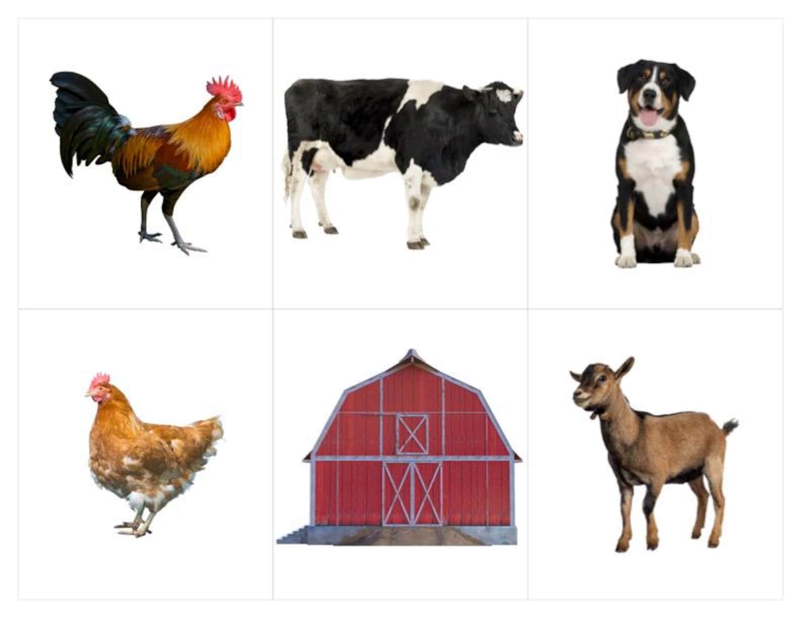 Montessori Toddler Language Cards - Farm - Etsy