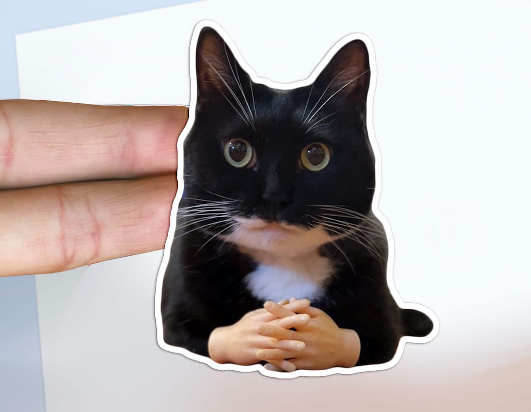 Cat With Hands Original Cat Meme Sticker , Kiss-cut Stickers - Etsy