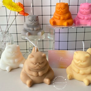 Playful Grumpy Cat Fatcat Candle - Unique Present for Cat Lady, High ...