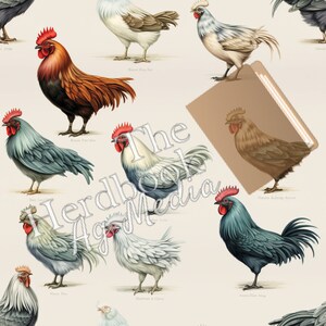 Chickens Digital Paper – Farm Backgrounds for Digital Prints - Seamless ...