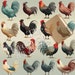 Chickens Digital Paper – Farm Backgrounds for Digital Prints - Seamless ...