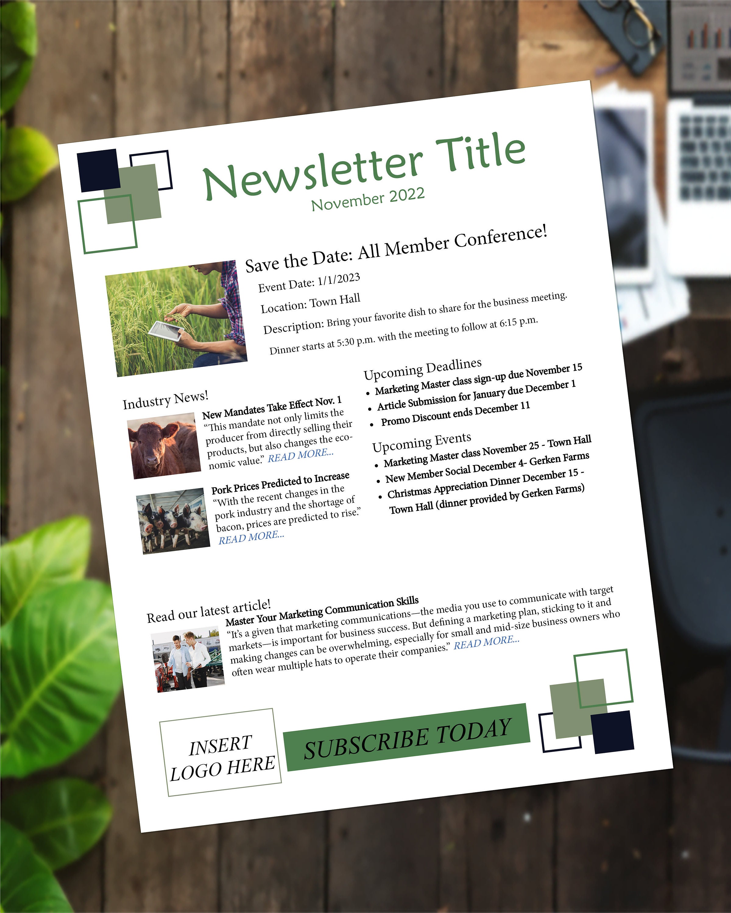 DIY Customizable Print Newsletter Template Small Business Word Document ...