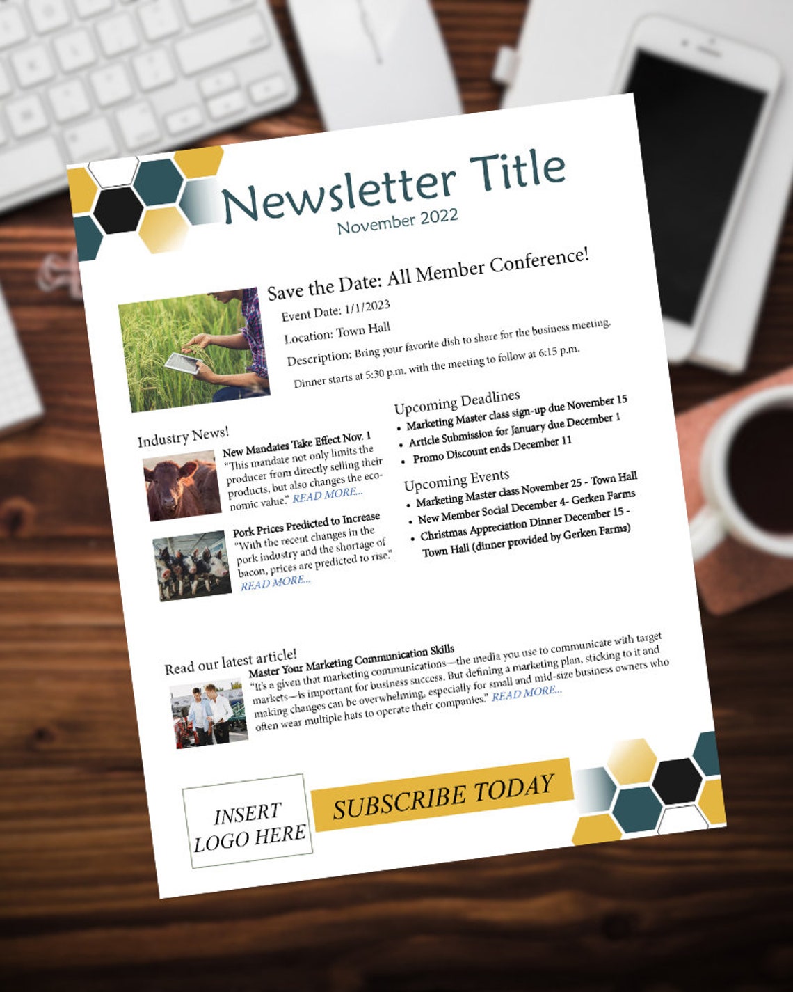 DIY Customizable Print Newsletter Template Small Business Word Document ...