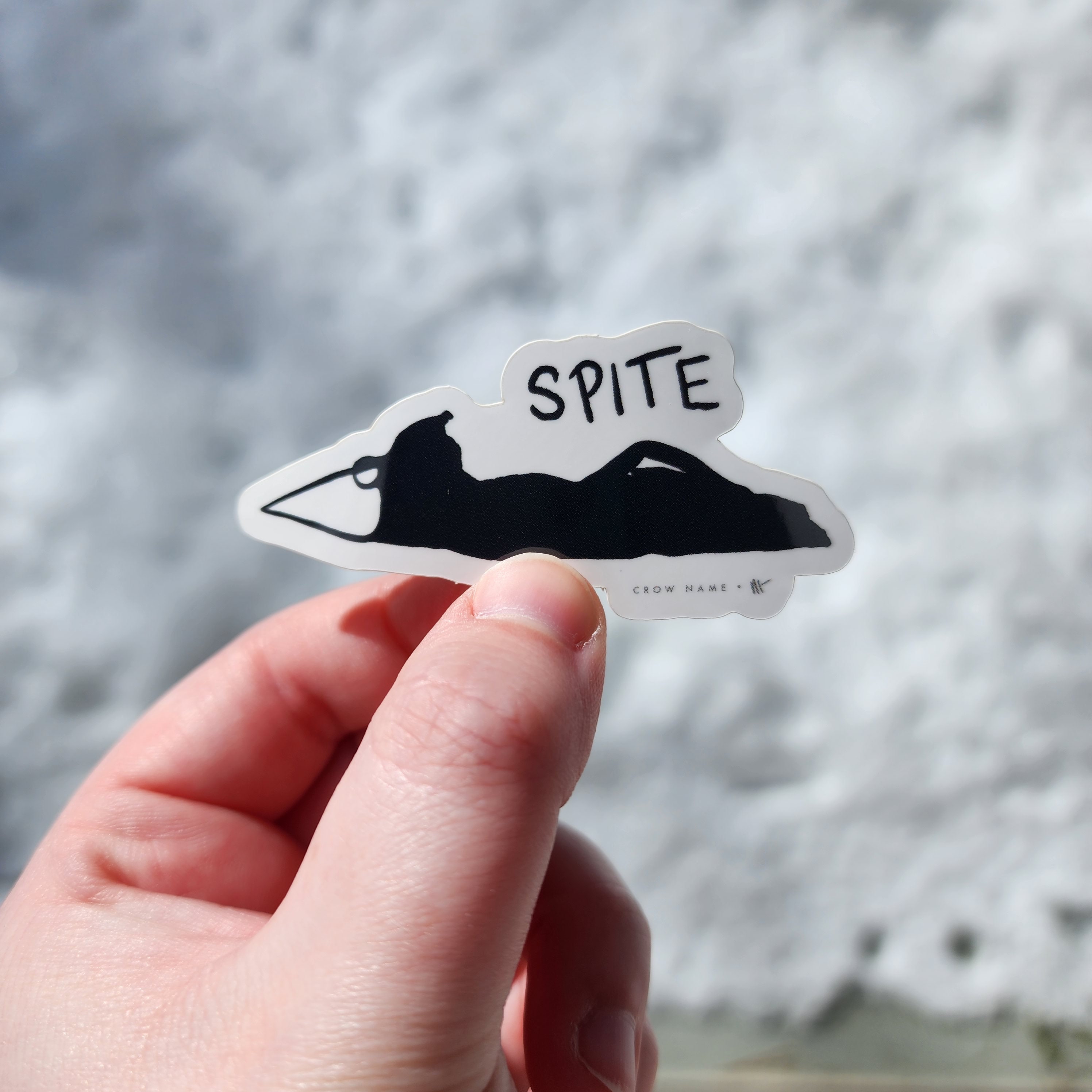 Spite Crow Plague Doctor Vinyl Sticker, Laptop, Water Bottle - Etsy