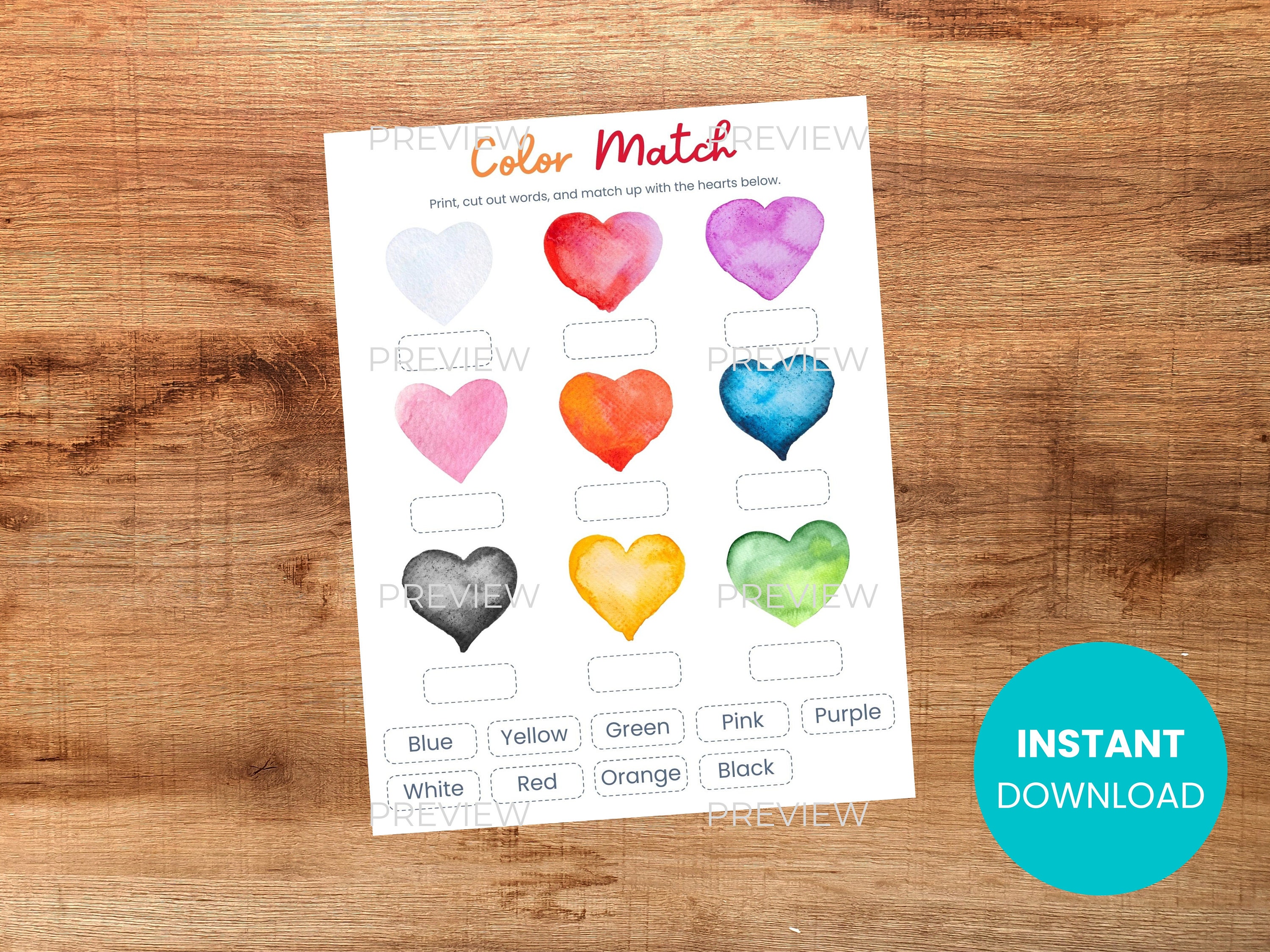 PRINTABLE Color Match Activity Instant Download - Etsy