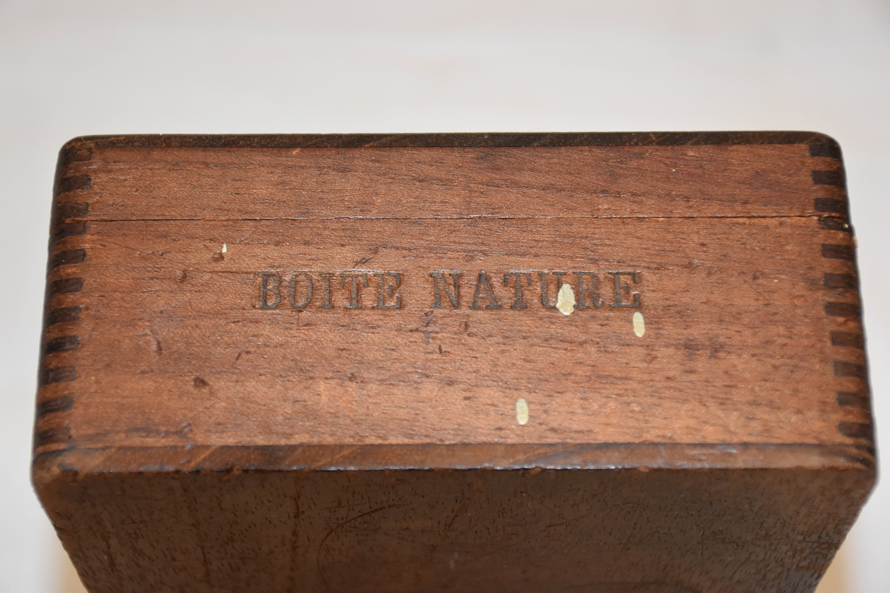 Cigar Boxes, Brooks & Co., Gibson and Don Rey - Etsy