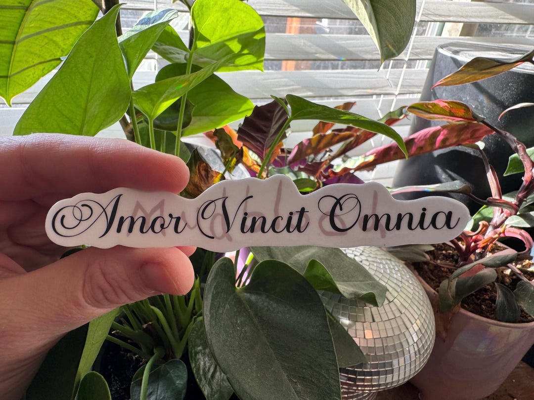 Dramione Sticker Amor Vincit Omnia Mudblood Fanfiction for Water Bottle ...