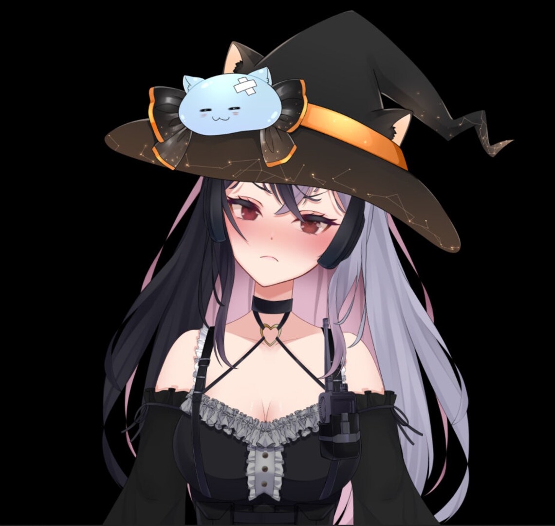 Customizable Vtuber/premade Adopt Live 2D Vtuber Model Cute - Etsy