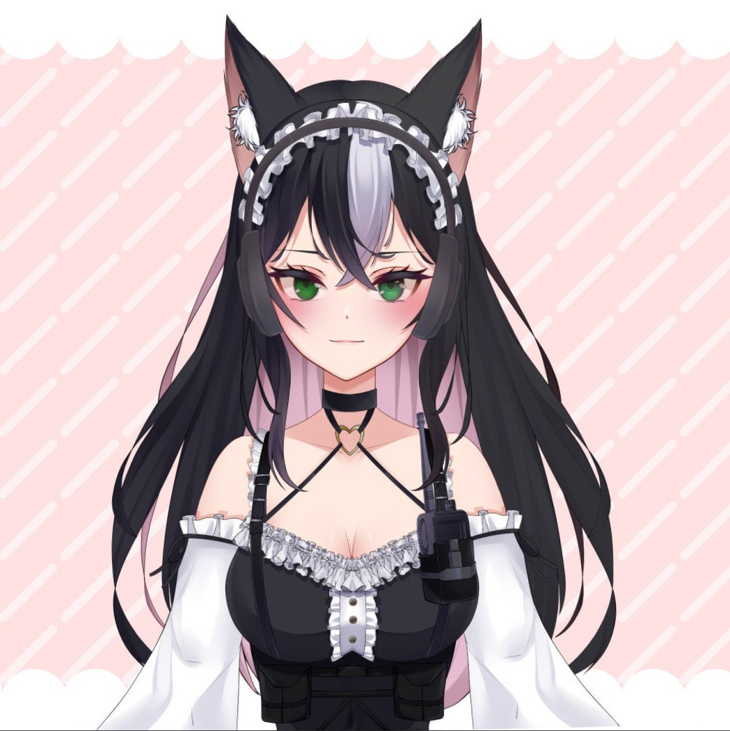 Customizable Vtuber/premade Adopt Live 2D Vtuber Model Cute - Etsy UK