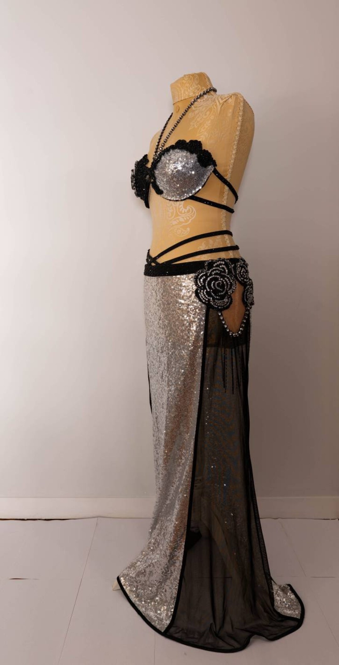 Silver Belly Dance stage costume, U plunge bra, Performance outfit ...