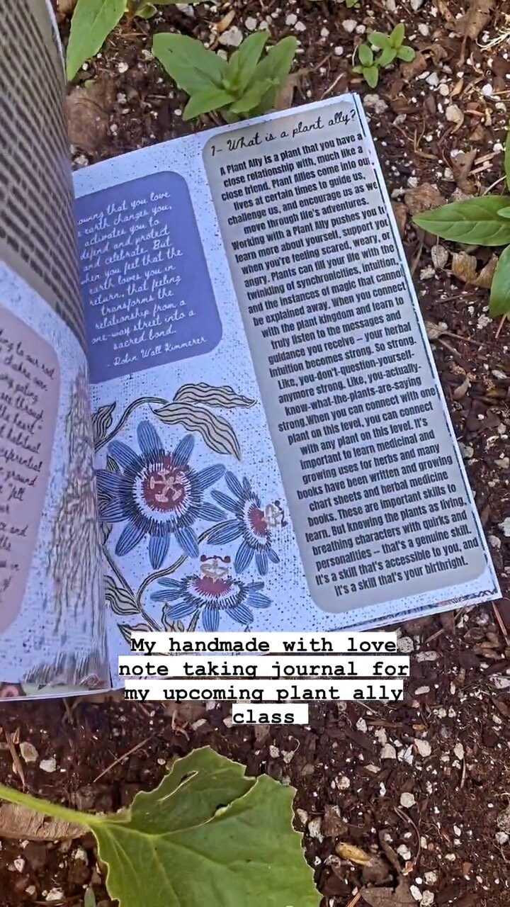 Plant Ally Zine - Etsy