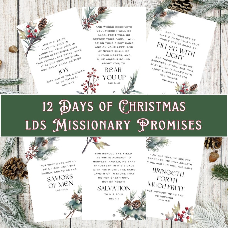 12 Days of Christmas Gift Package - 60+ Gift Ideas for 2025