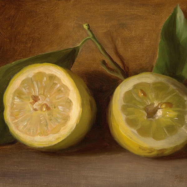 Lemon Still Life - Etsy