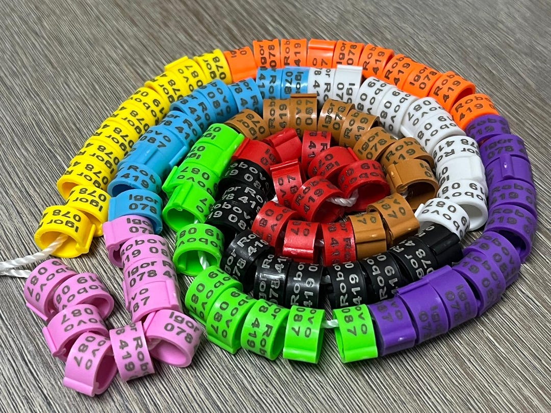 50 Pcs - Plastic Clip Rings Pigeon Rings - Pigeon Bands - Personalized ...