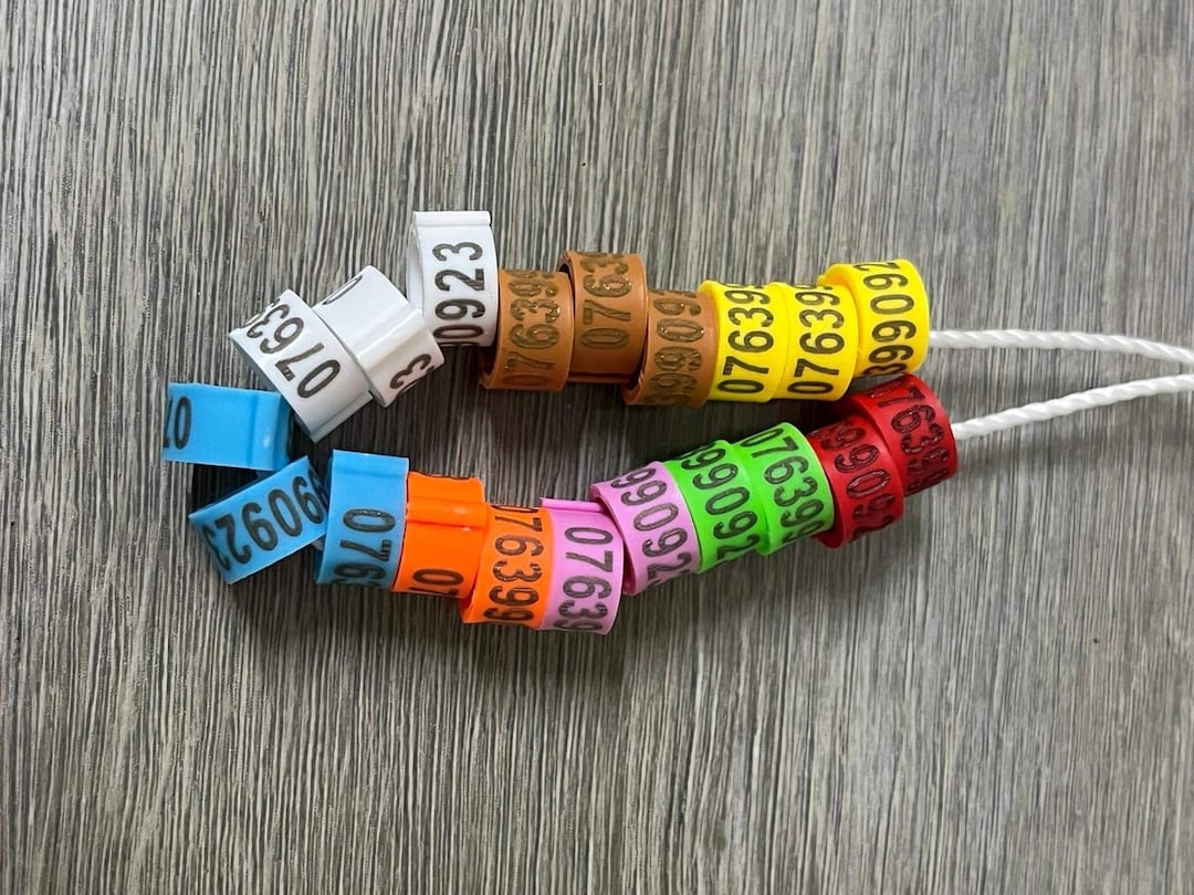50 Pcs Plastic Clip Rings Pigeon Rings Pigeon Bands Personalized Parrot ...