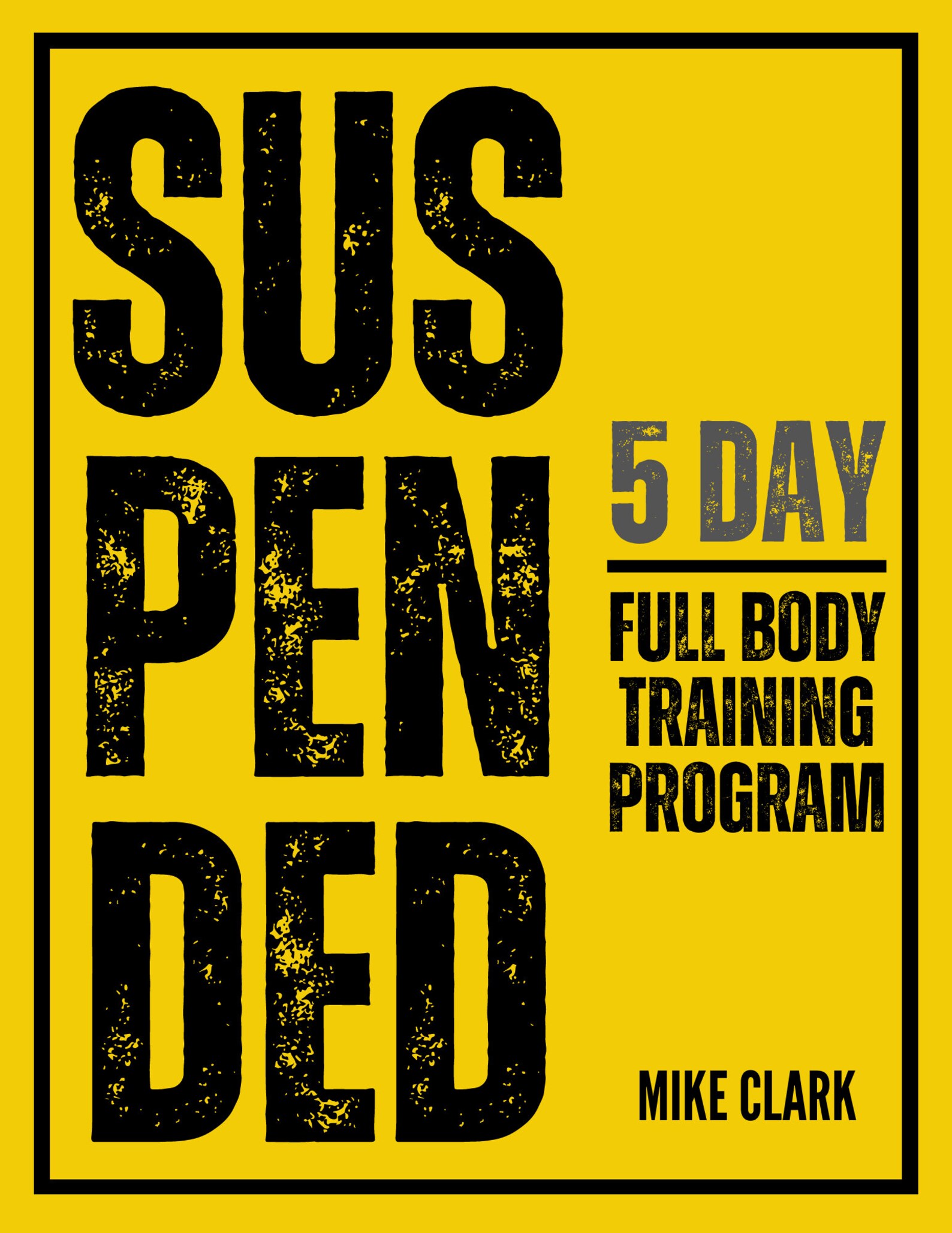 Suspended: 5 Day Full-body Training Program | Functional Training ...