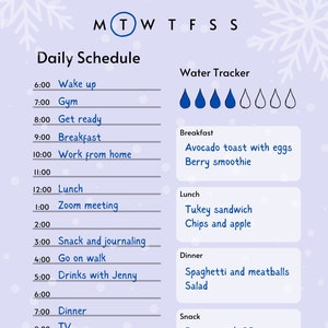 Printable Daily Schedule With Water Tracker and Meal Planner Snowy ...