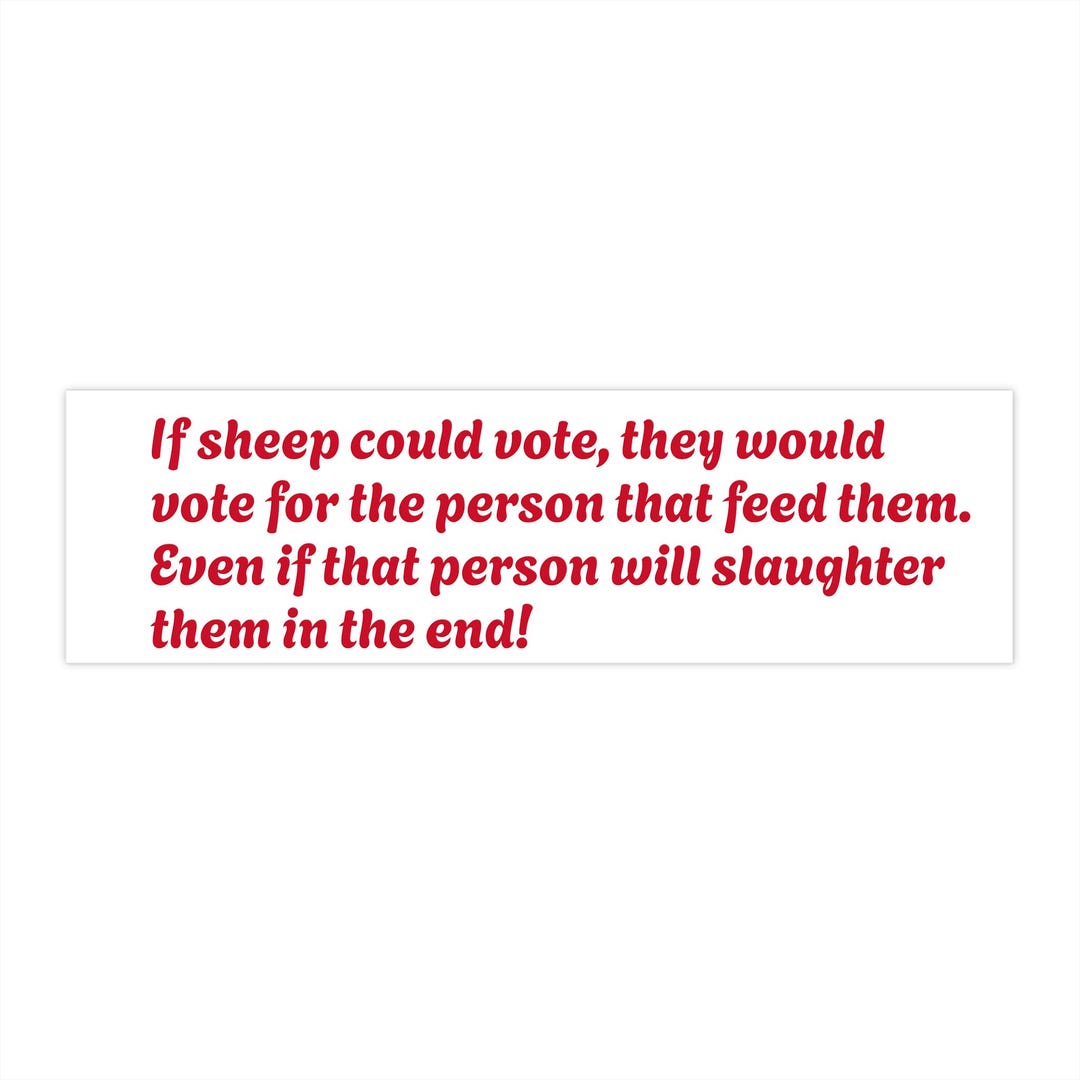 Thought-provoking Bumper Sticker | Humorous Car Decor, Voting Message ...