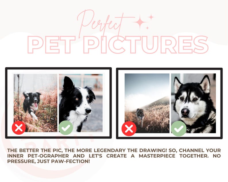 Custom Wedding Matchbox Favors With Dog | Personalized Couple Names and ...