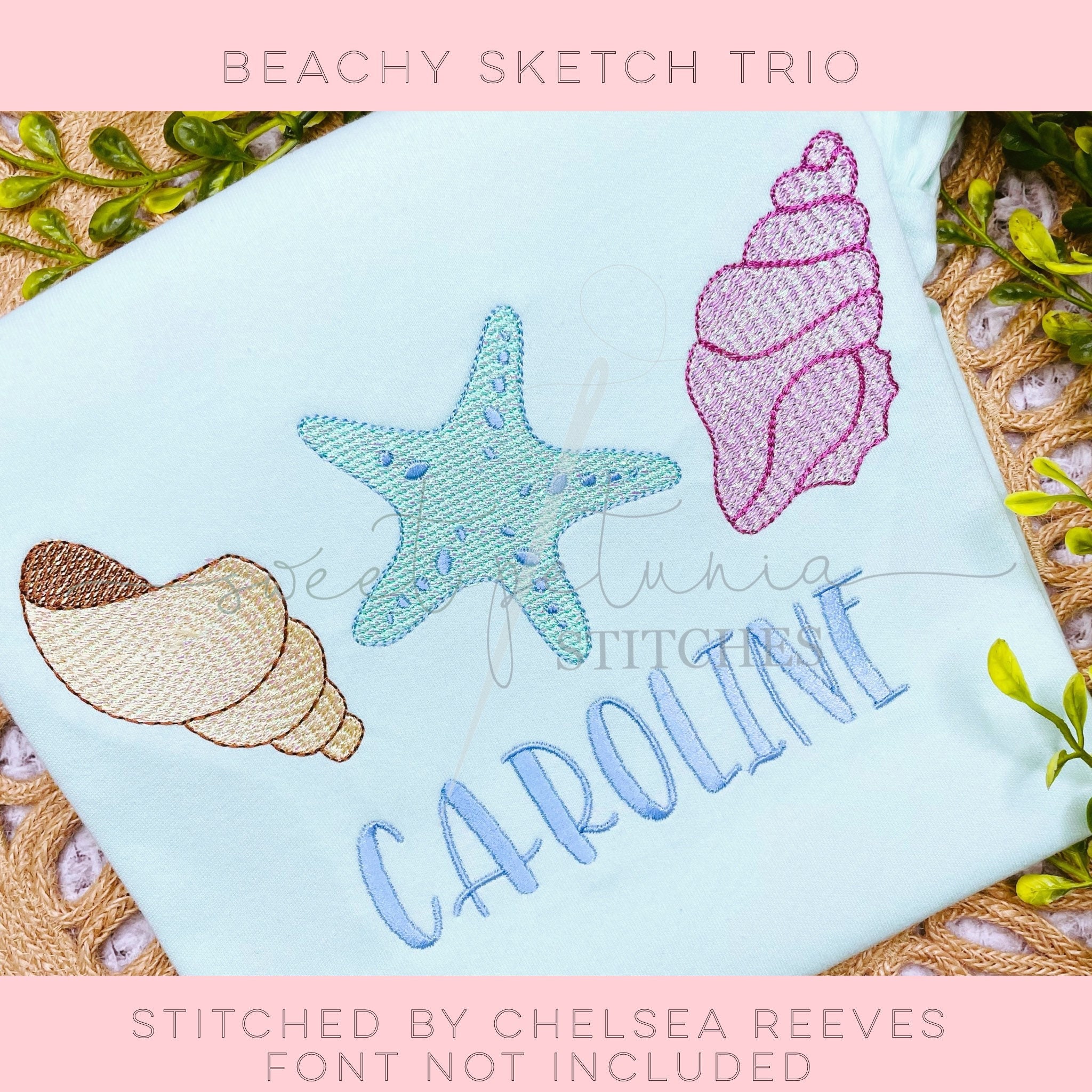 Seashell Beachcombing Shell Conch Clam Shell Beach Treasures Shelling ...