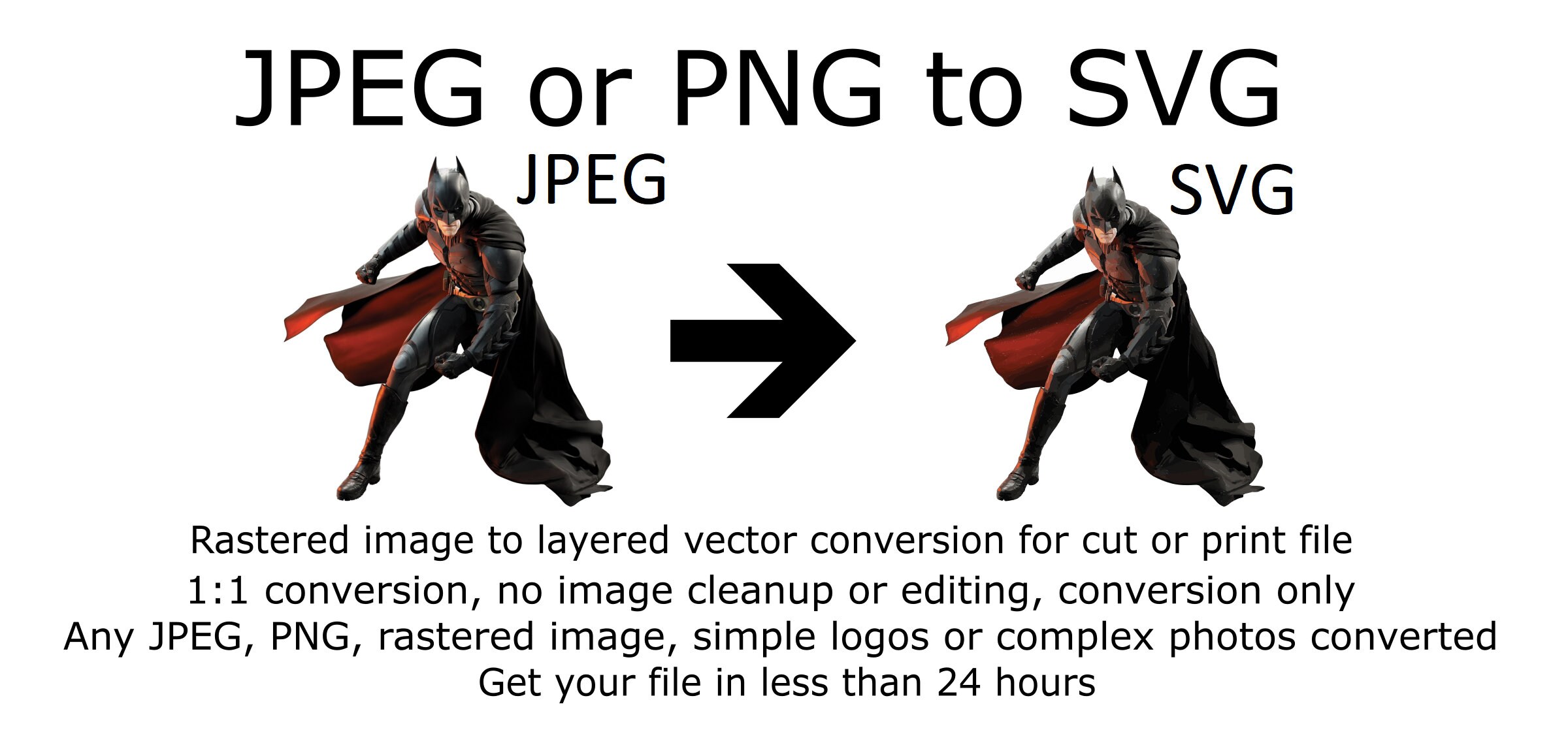 JPEG or PNG to SVG Conversion Service Raster Image to Layered Vector Conversion Digital Download ...