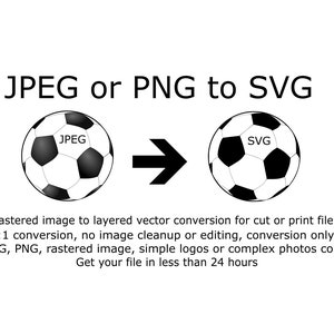 JPEG or PNG to SVG Conversion Service Raster Image to Layered Vector ...
