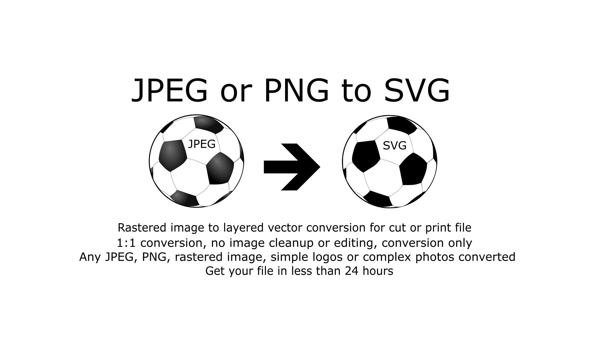 JPEG or PNG to SVG Conversion Service Raster Image to Layered Vector ...