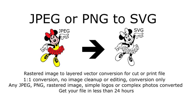 JPEG or PNG to SVG Conversion Service Raster Image to Layered Vector ...