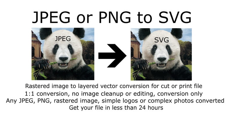 JPEG or PNG to SVG Conversion Service Raster Image to Layered Vector ...