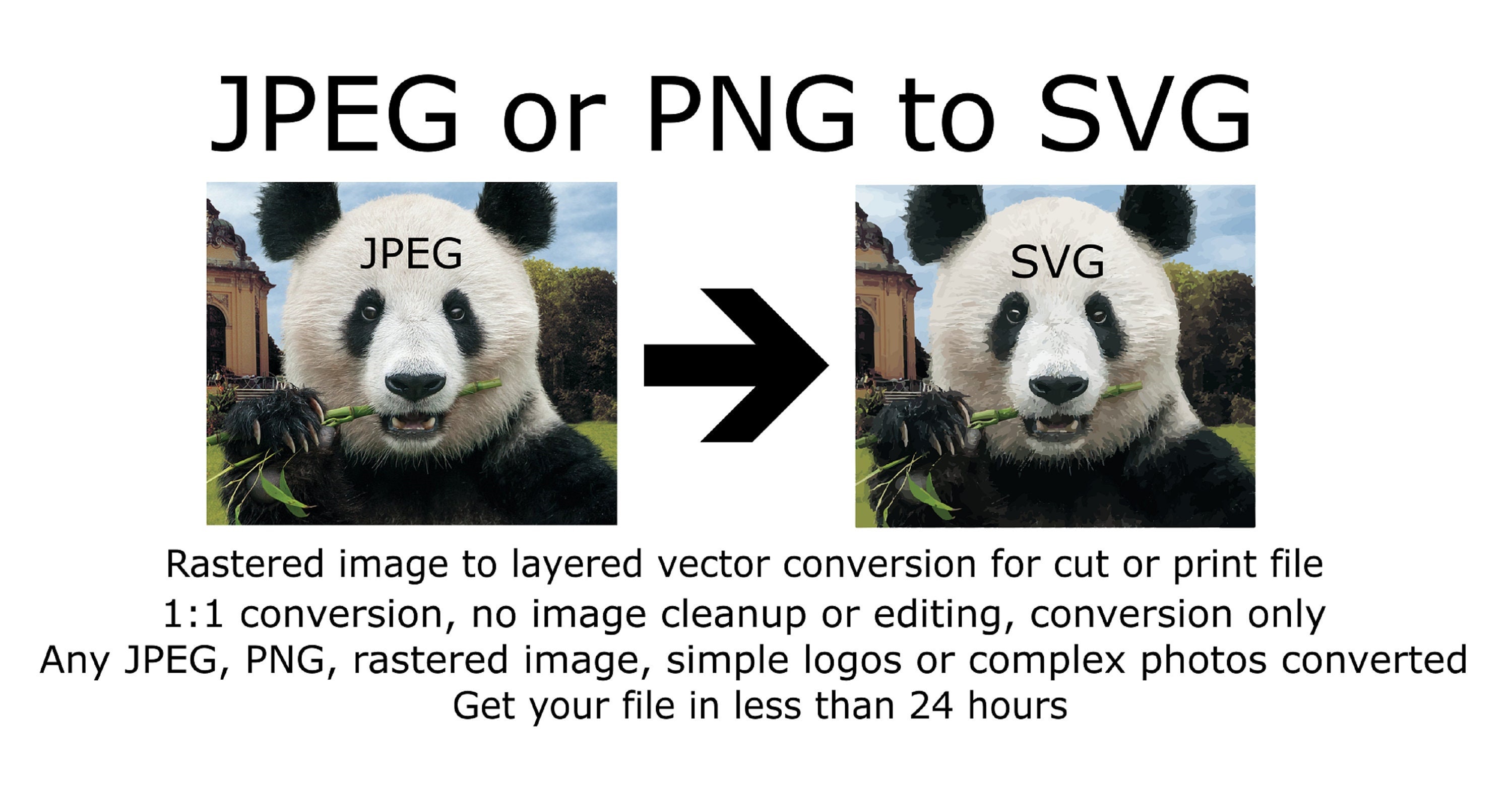 JPEG or PNG to SVG Conversion Service Raster Image to Layered Vector ...